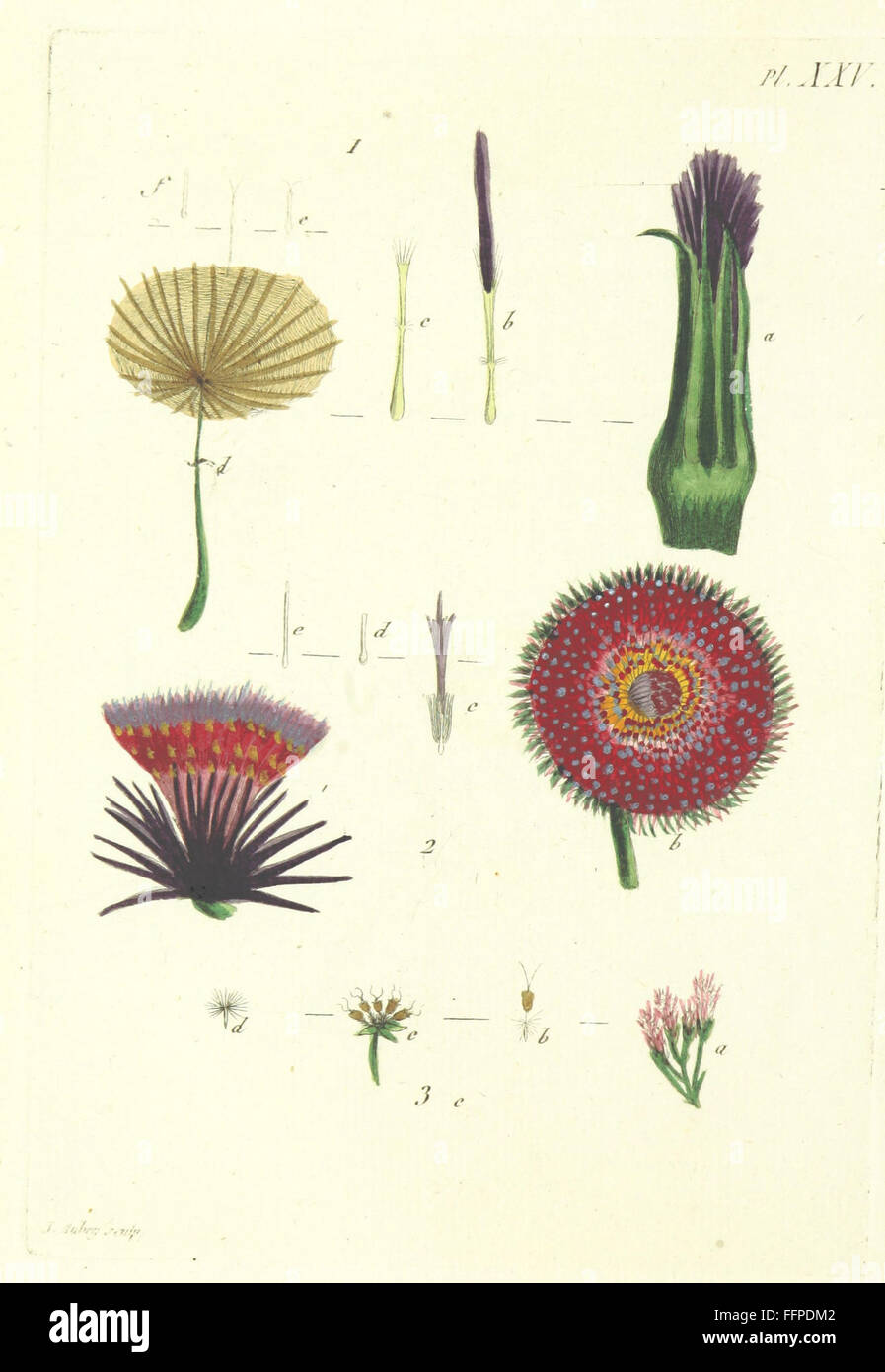 A complete edition of the works of Jean-Jacques Rousseau, organized by ...