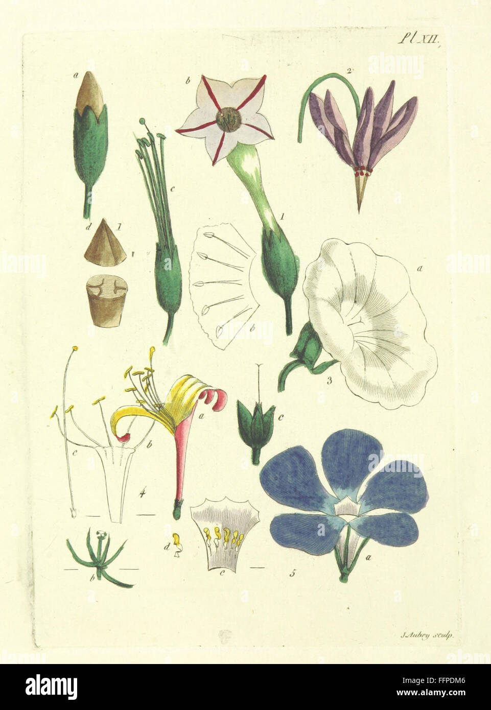 This new edition of Jean-Jacques Rousseau’s complete works organizes ...