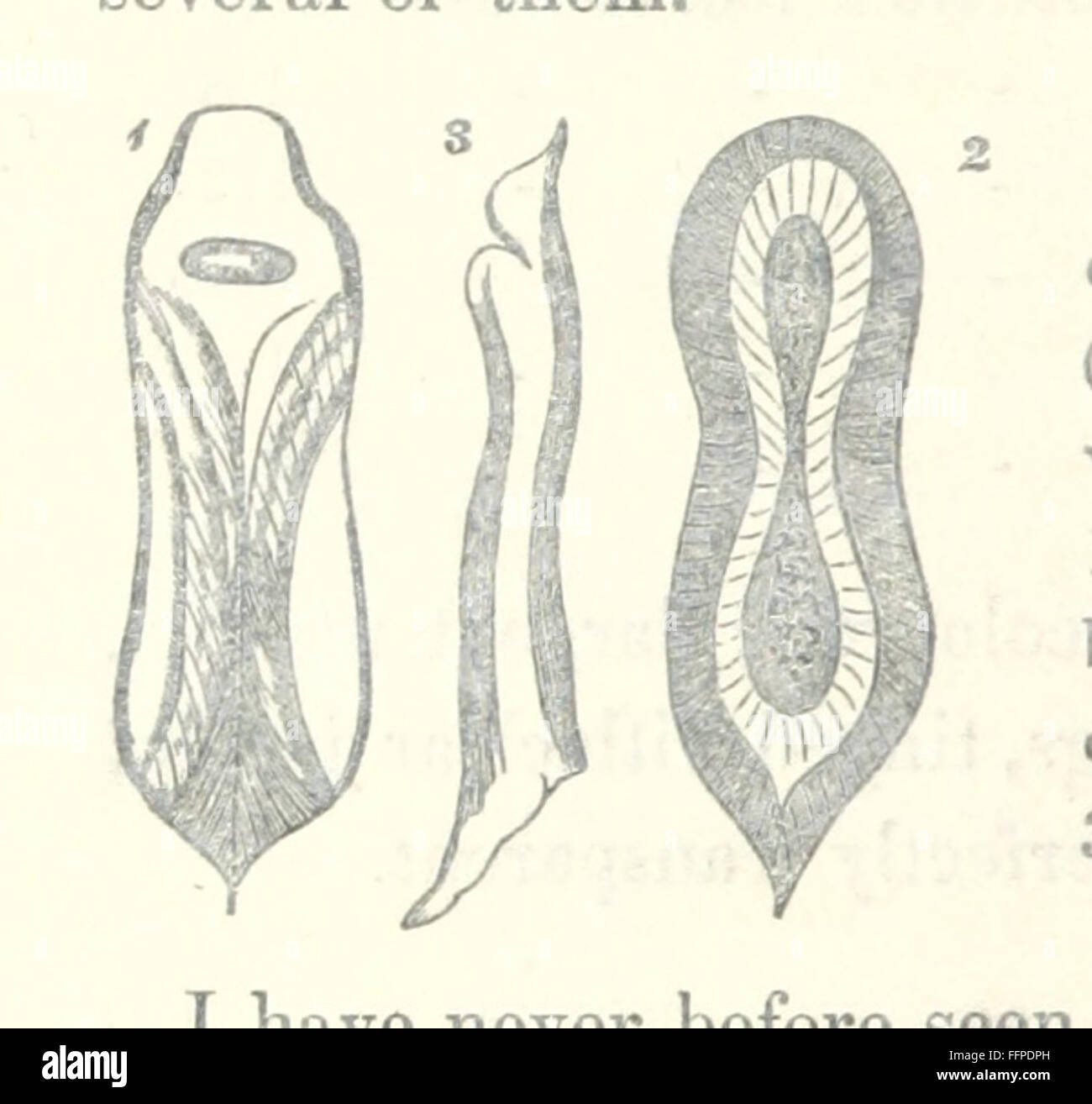 A journal documenting two expeditions in Western Australia between 1837 ...