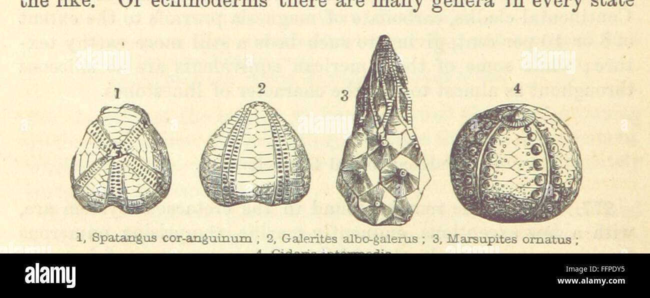 The 'Advanced Text-book of Geology' is a second edition, enlarged to ...