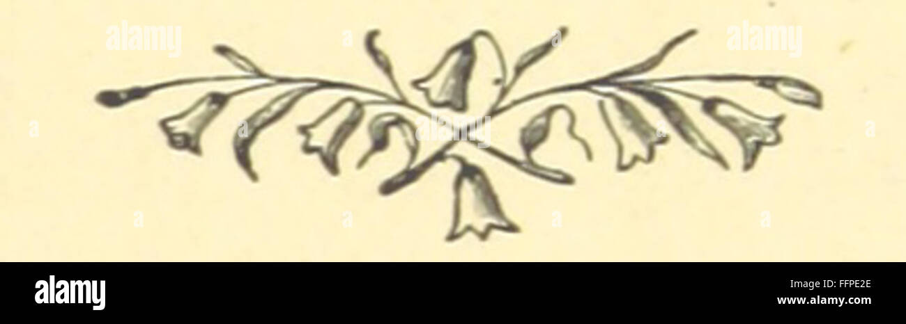 Illustrated family burns original memoir hi-res stock photography and ...