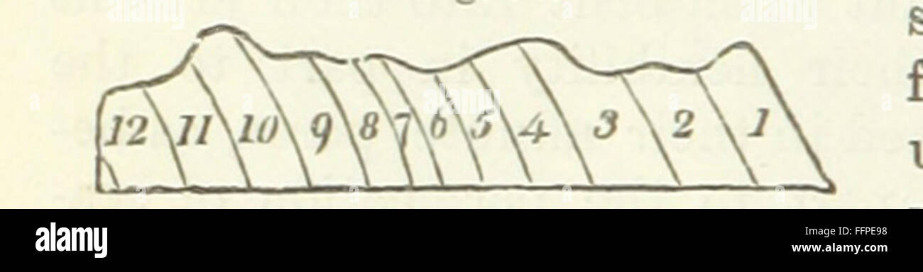 A vintage educational book covering the essential elements of geology ...