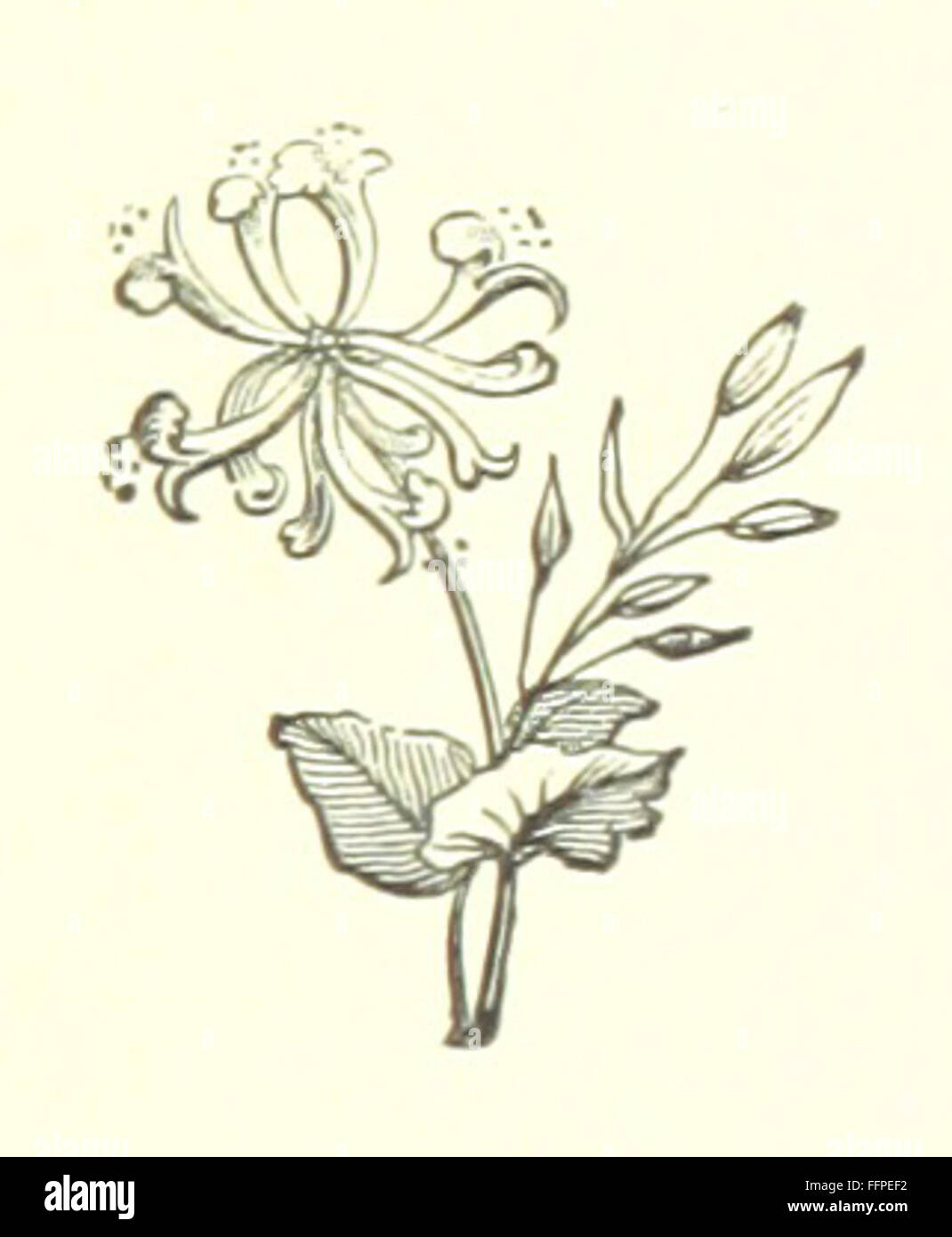 'The Briny Deep' is a sea adventure novel chronicling the journey of ...