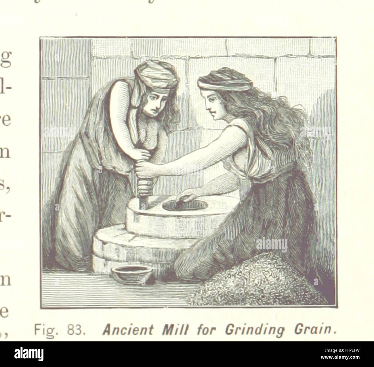 This work provides a general history of the Earth’s geological ...