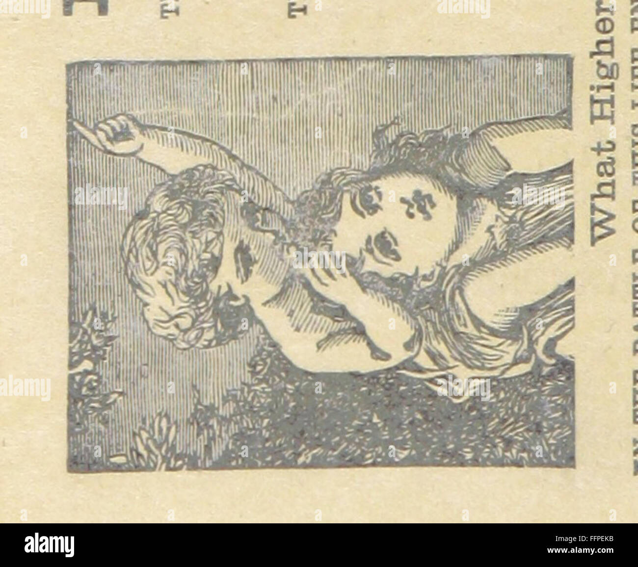 Foretaste hi-res stock photography and images - Alamy