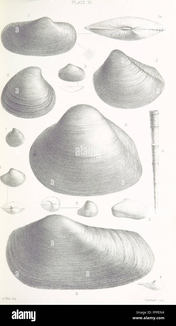 'The Yorkshire Lias' is a detailed study of the geology of the ...