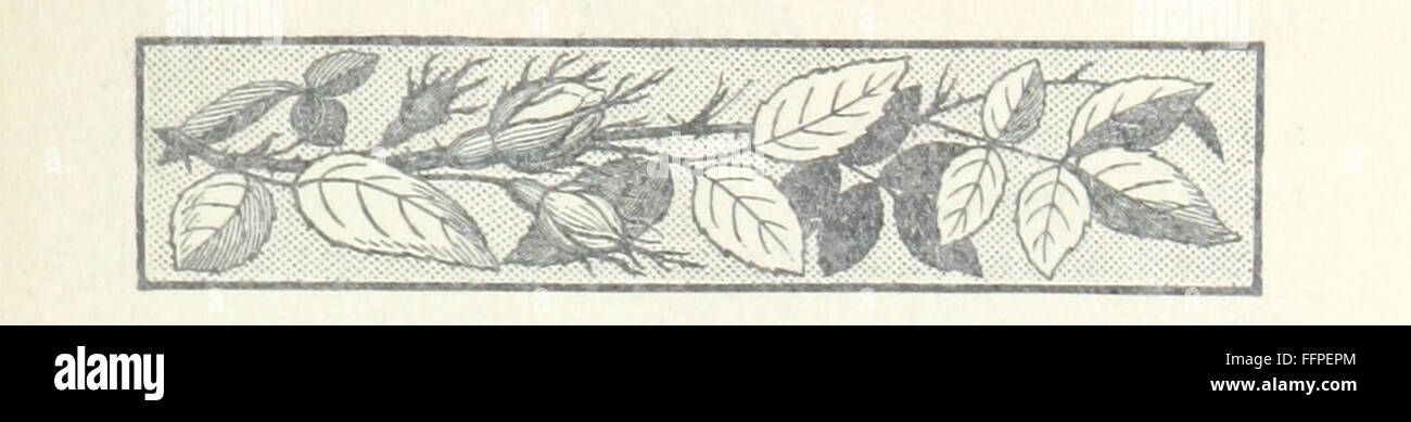 A narrative describing life on Jethou, an island in the Channel Isles ...