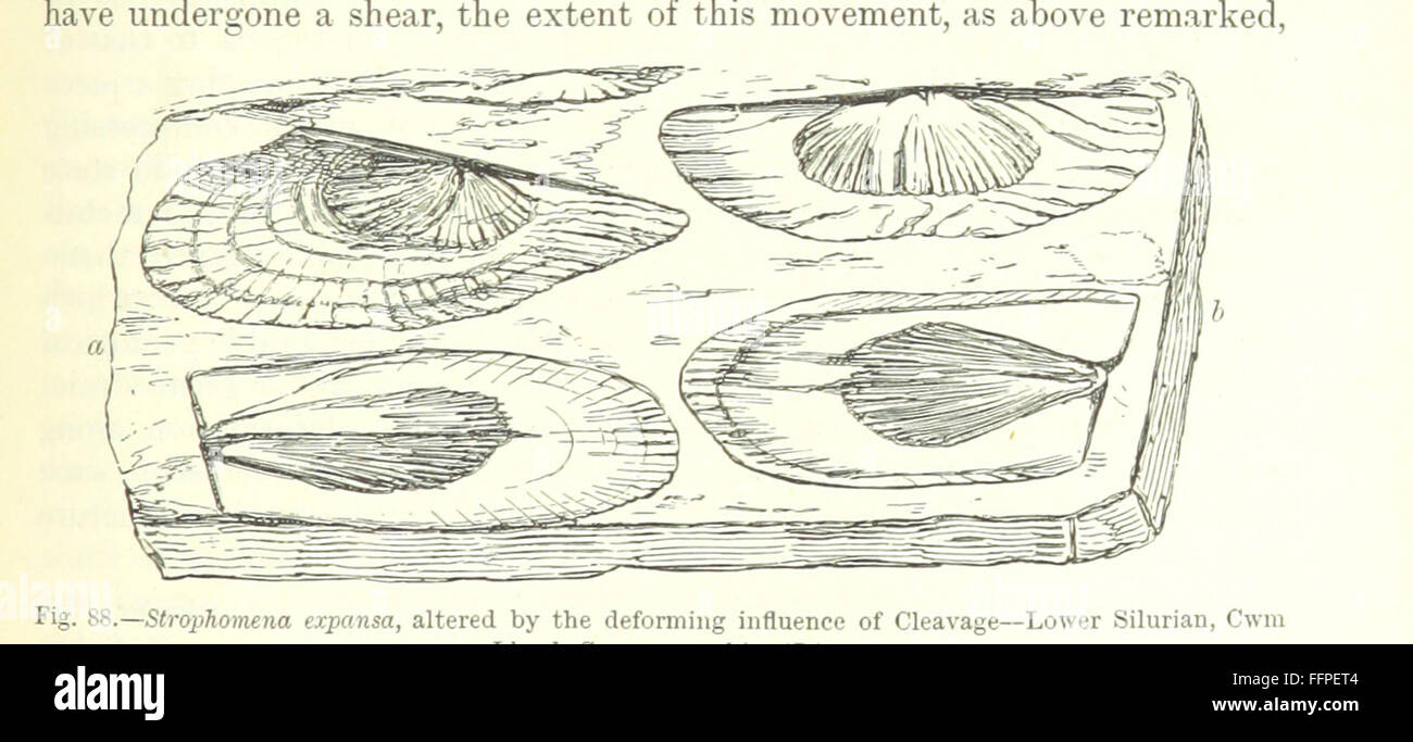 'Text-book of Geology' offers an in-depth exploration of geology, from ...