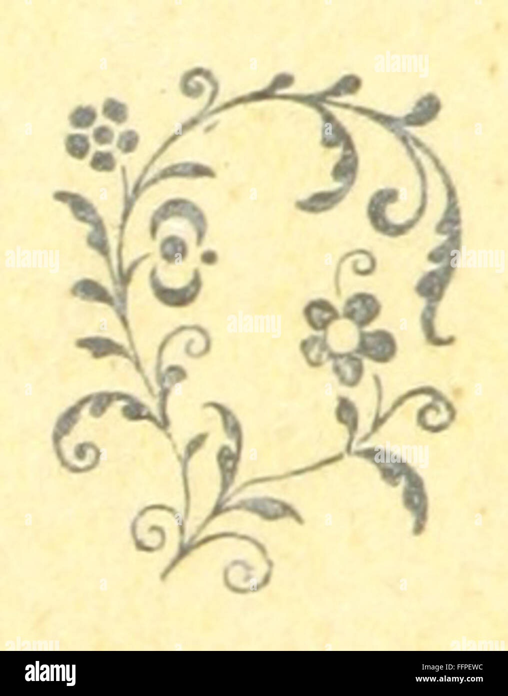 This vintage book, originally written in Czech, offers a detailed ...