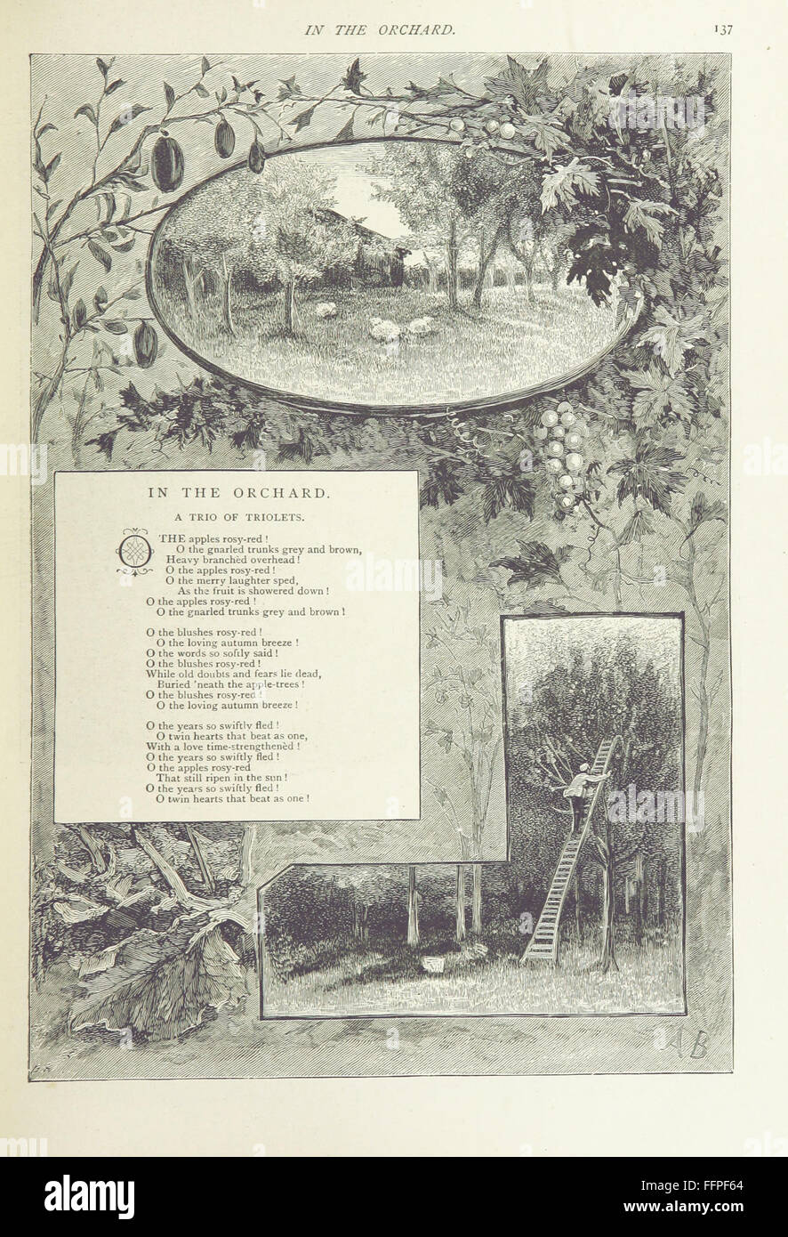 'The Changing Year' is a collection of poems and illustrations focusing ...