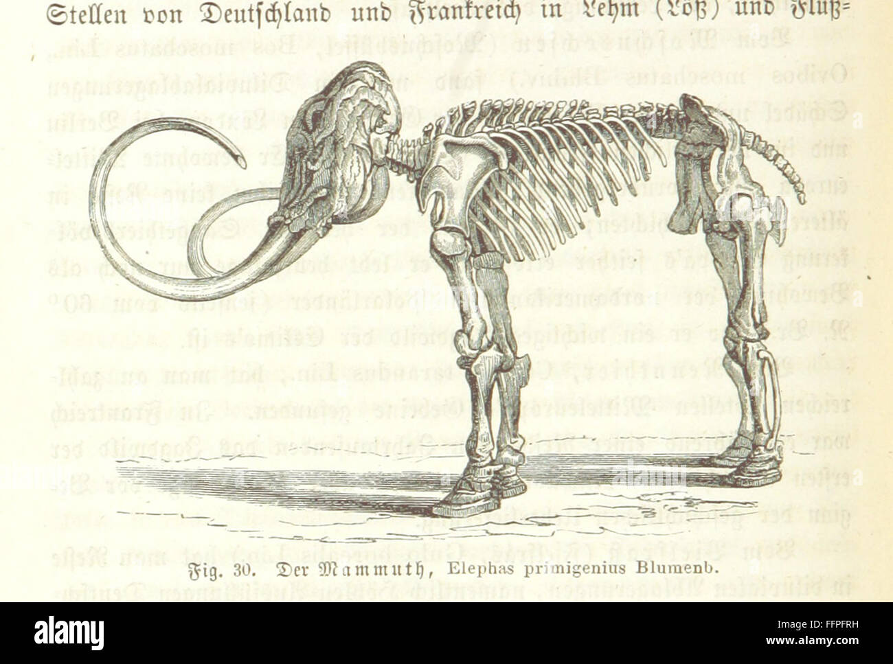 This vintage book explores human evolution and social development ...