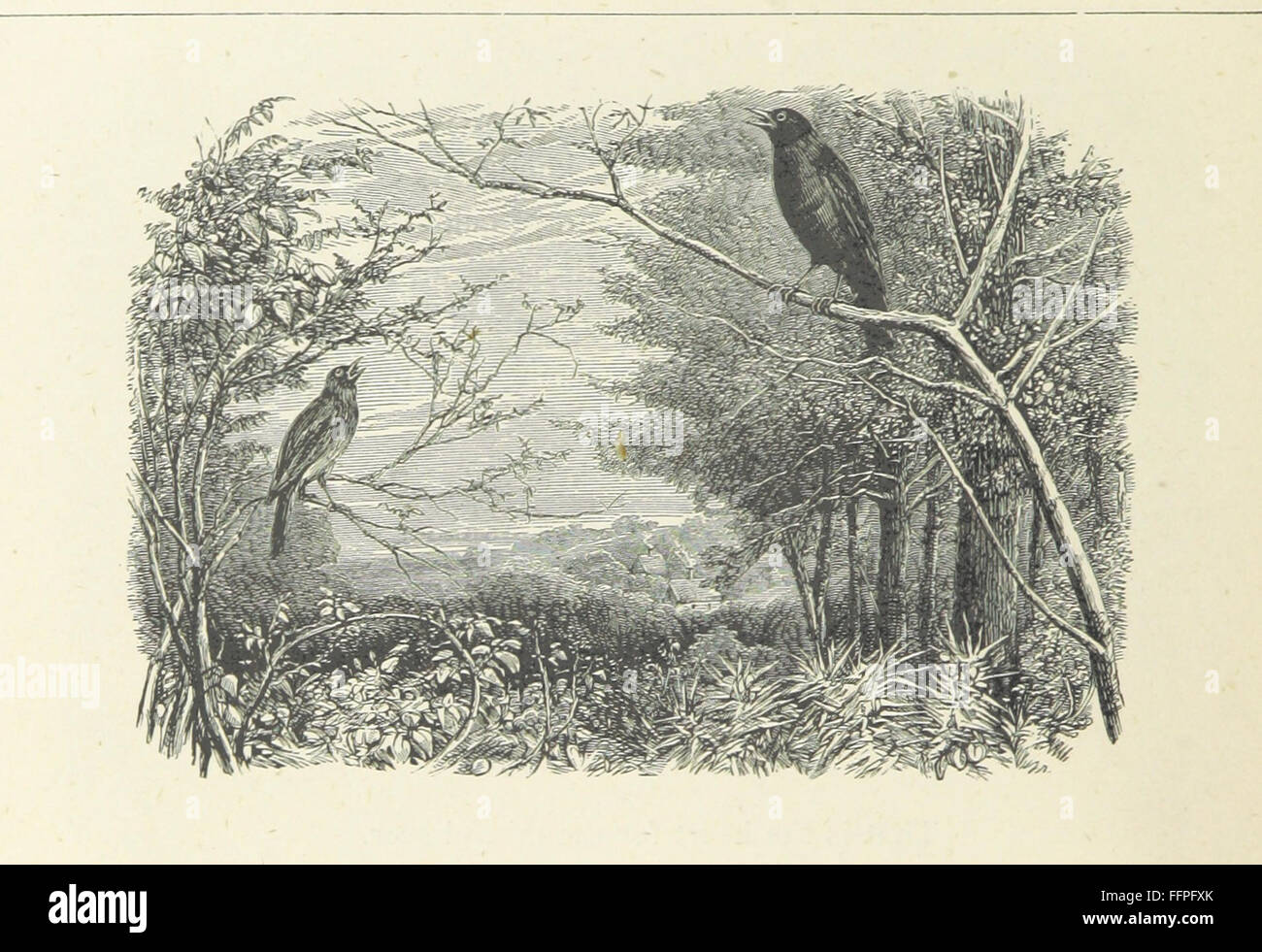 'The Christian Year' is a vintage work that explores the religious ...