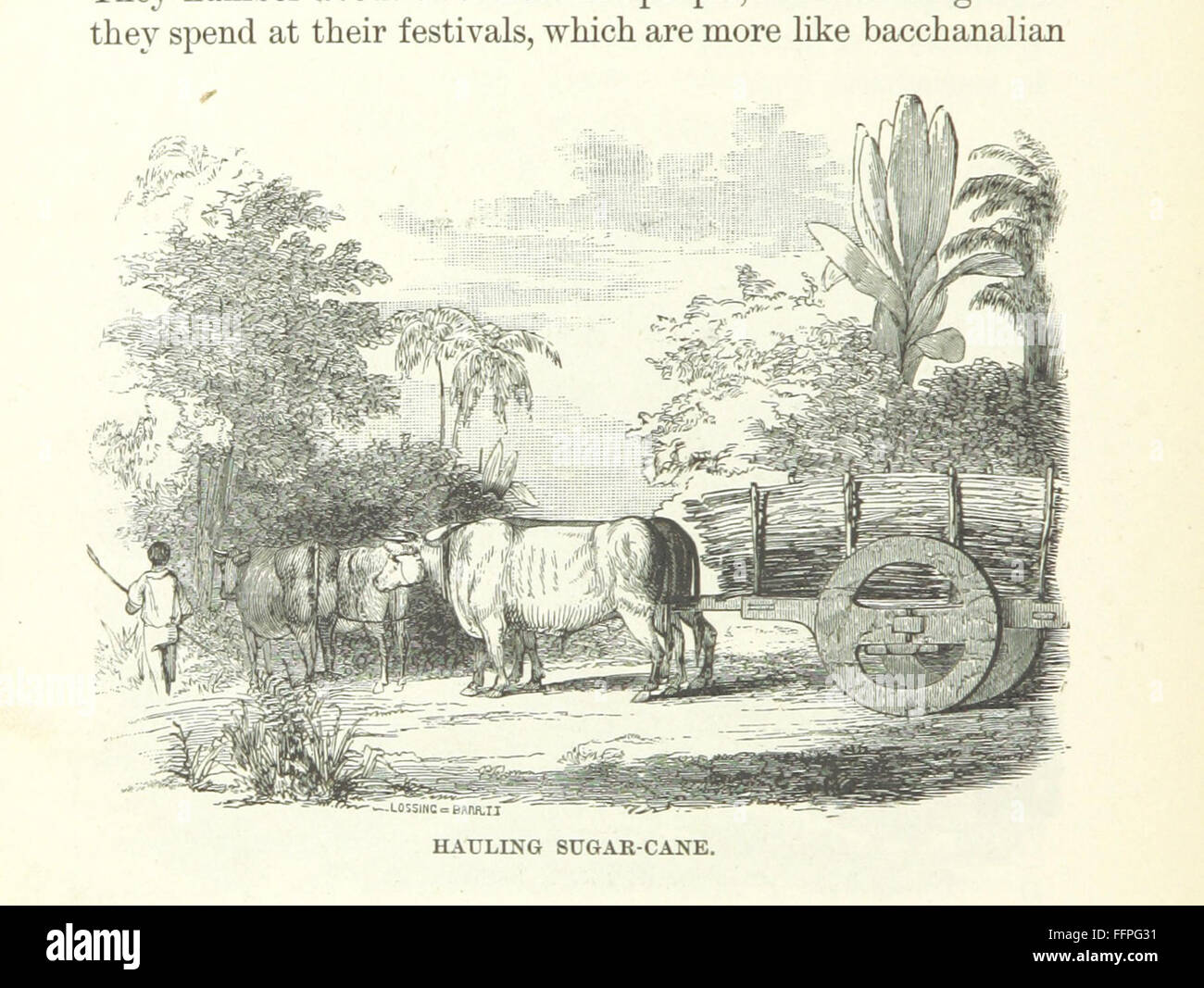 'The Capitals of Spanish America' explores the major cities of Spanish ...