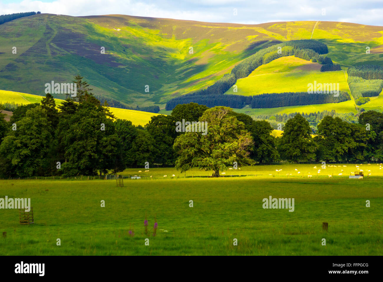 British landscape in Summer Stock Photo - Alamy