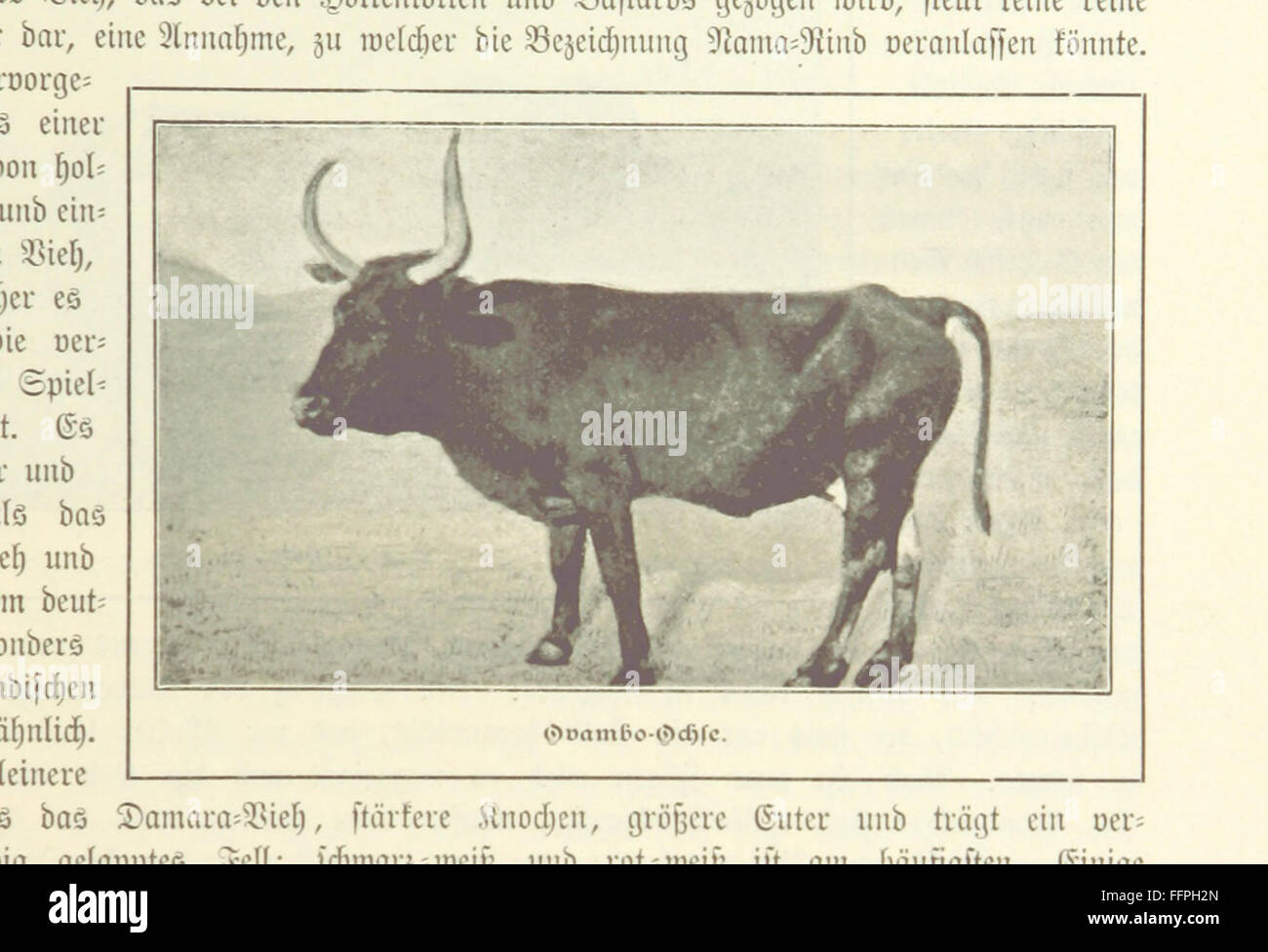 This book explores the Nama and Damara peoples in German South West ...