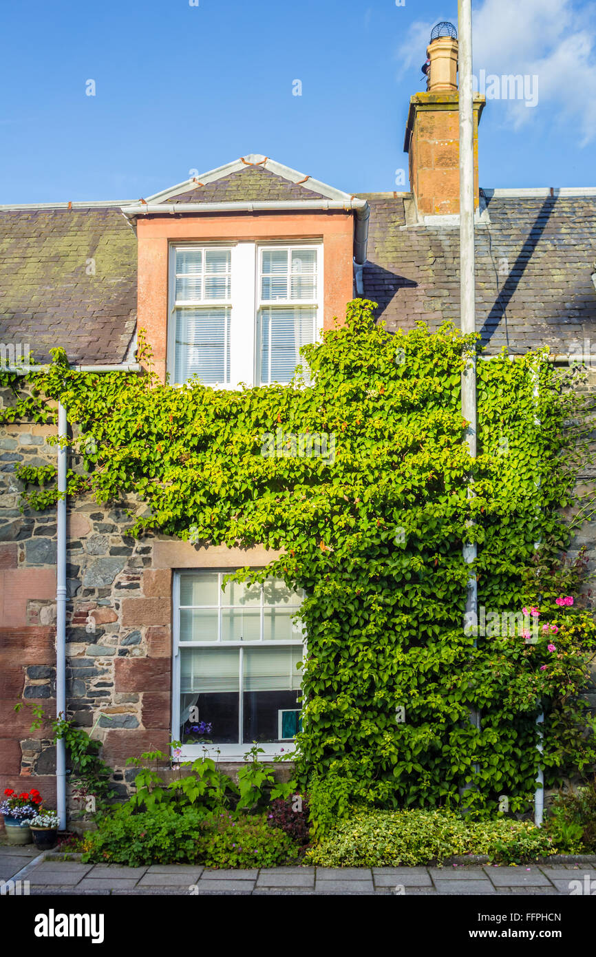 House covered green climbing hi-res stock photography and images - Alamy