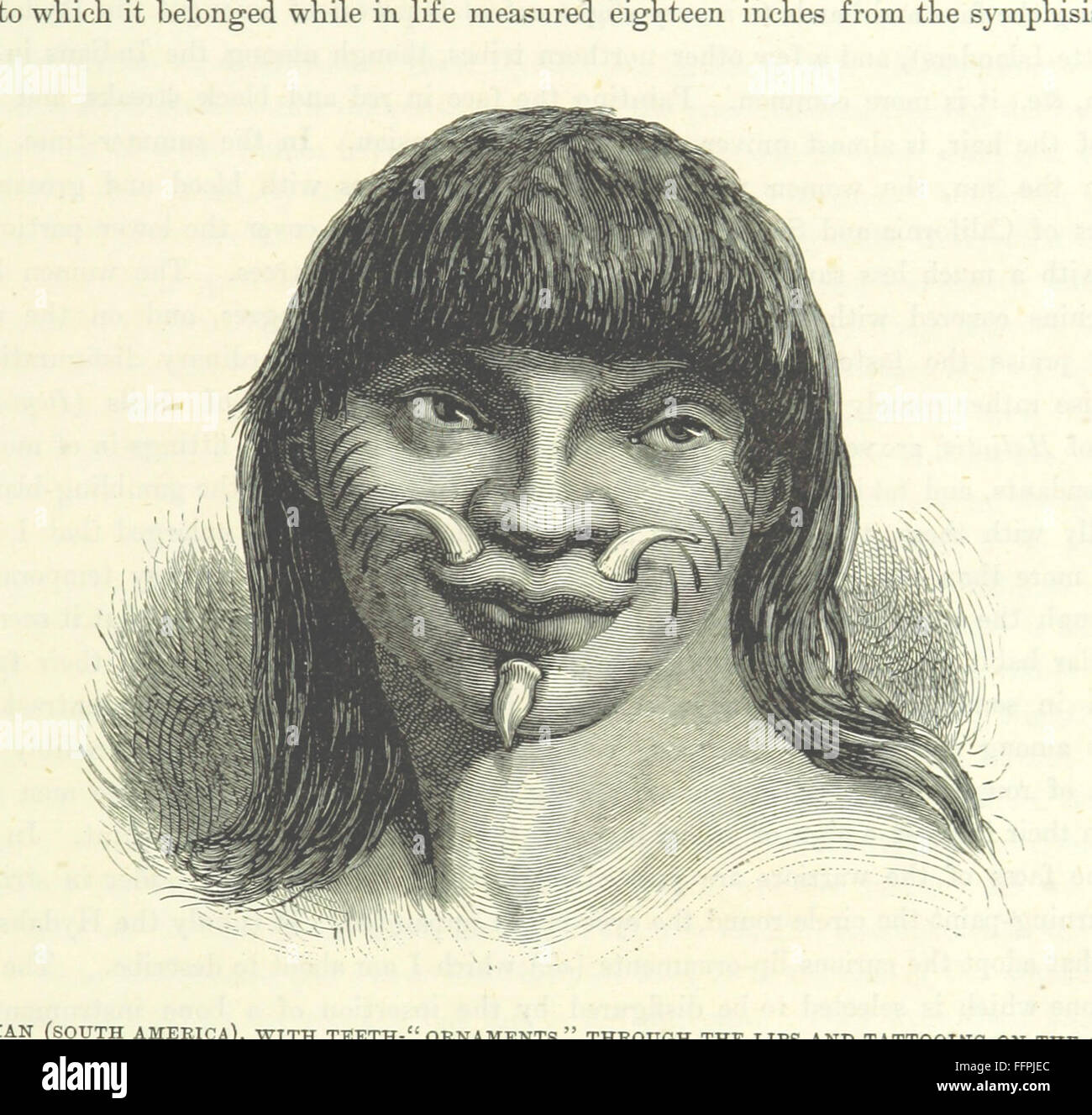 'Die Kopien der Weltkarte des Museum Borgia' discusses the Borgia World ...