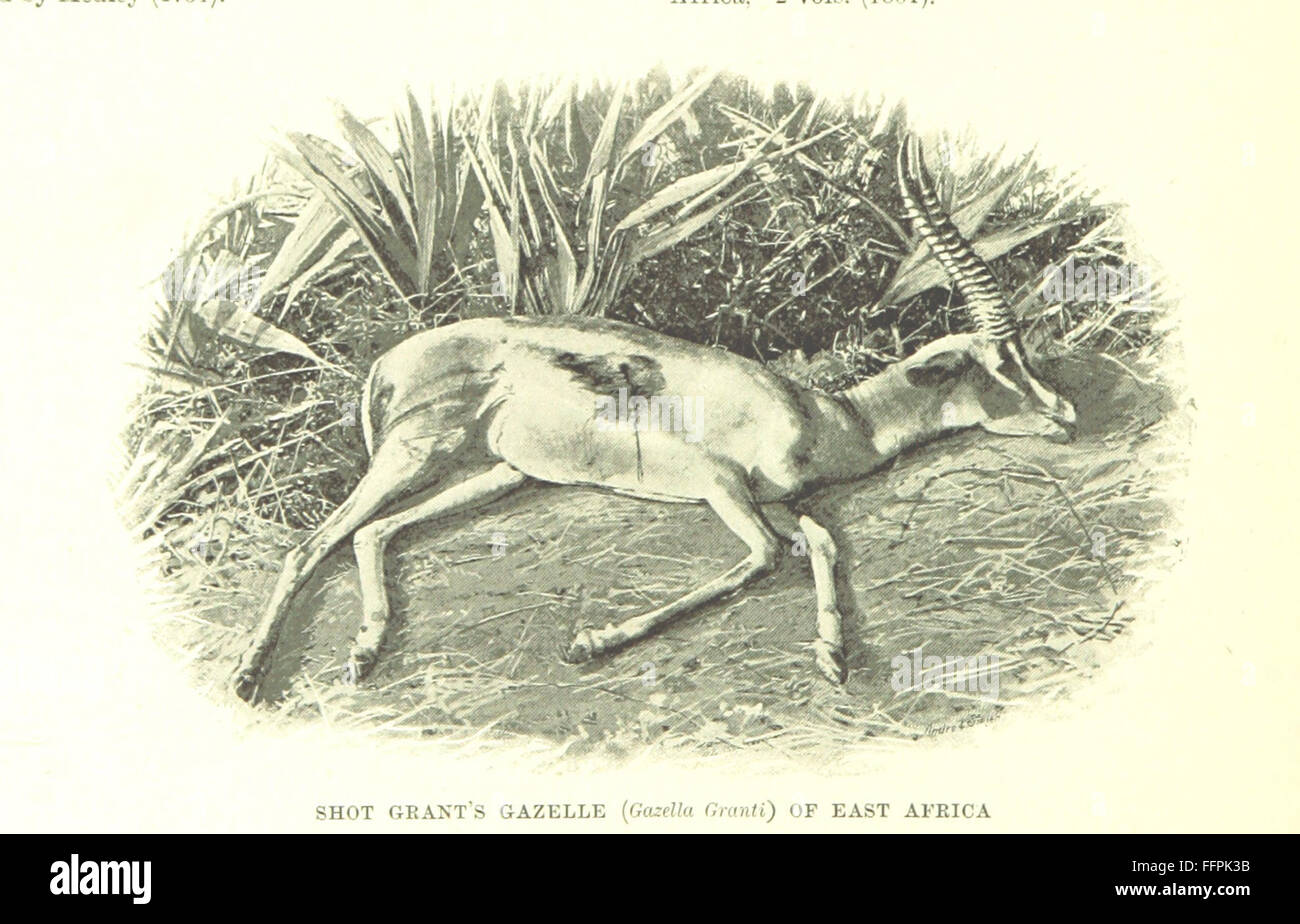 'The Story of Africa and its Explorers' details the history of African ...