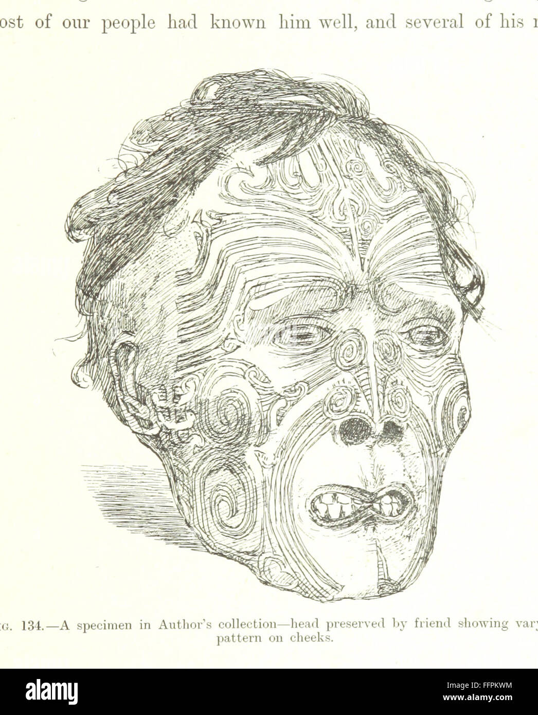 'Moko' explores the history and significance of Maori tattooing ...