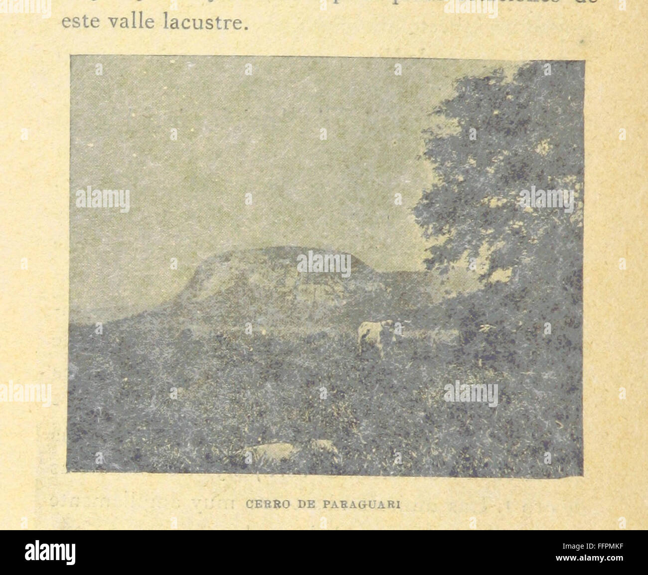 A study on Paraguay's geography, covering its natural environment ...
