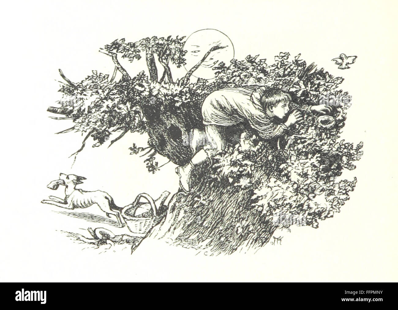 This nursery rhyme book, illustrated by A. Hughes, features a ...