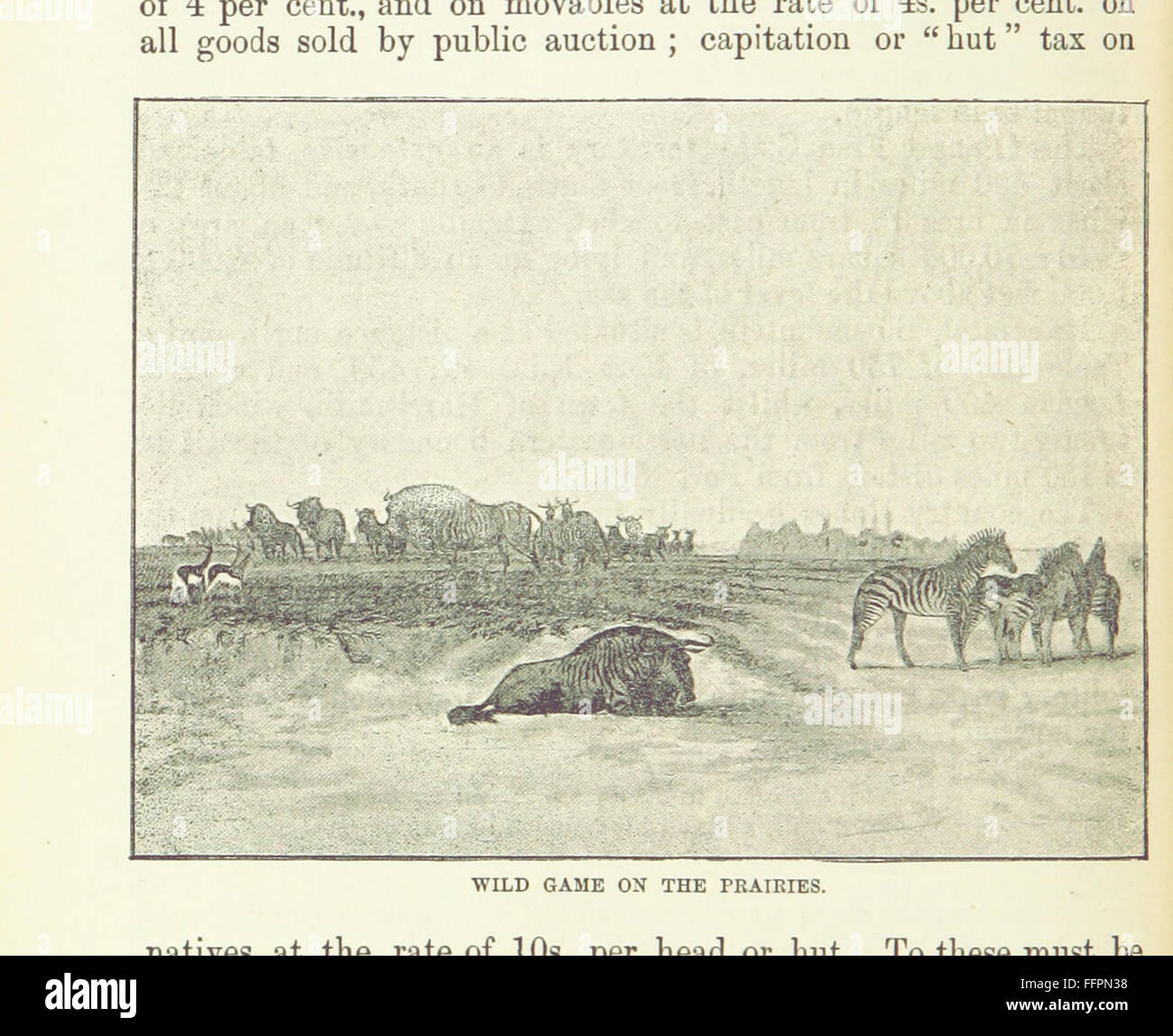 This illustrated handbook offers an overview of the history, population ...