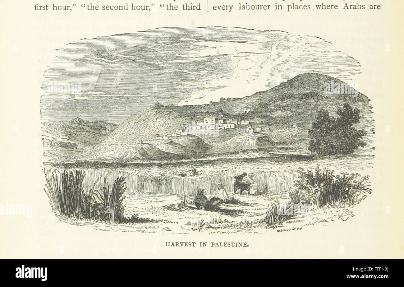 This book offers a detailed pictorial and descriptive account of ...