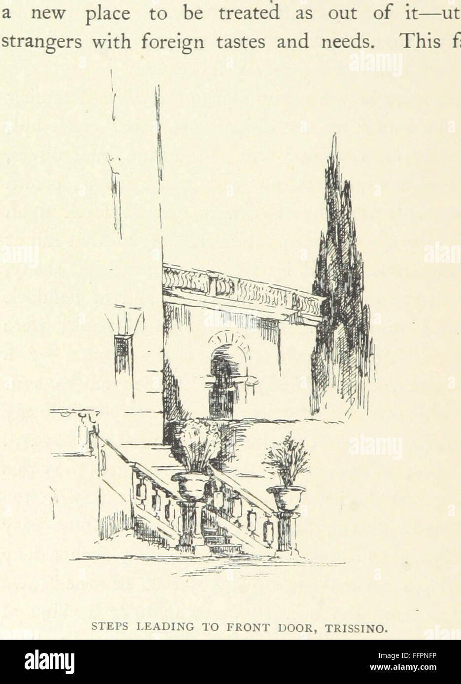 This book offers a unique perspective on life at a Doge’s farm ...