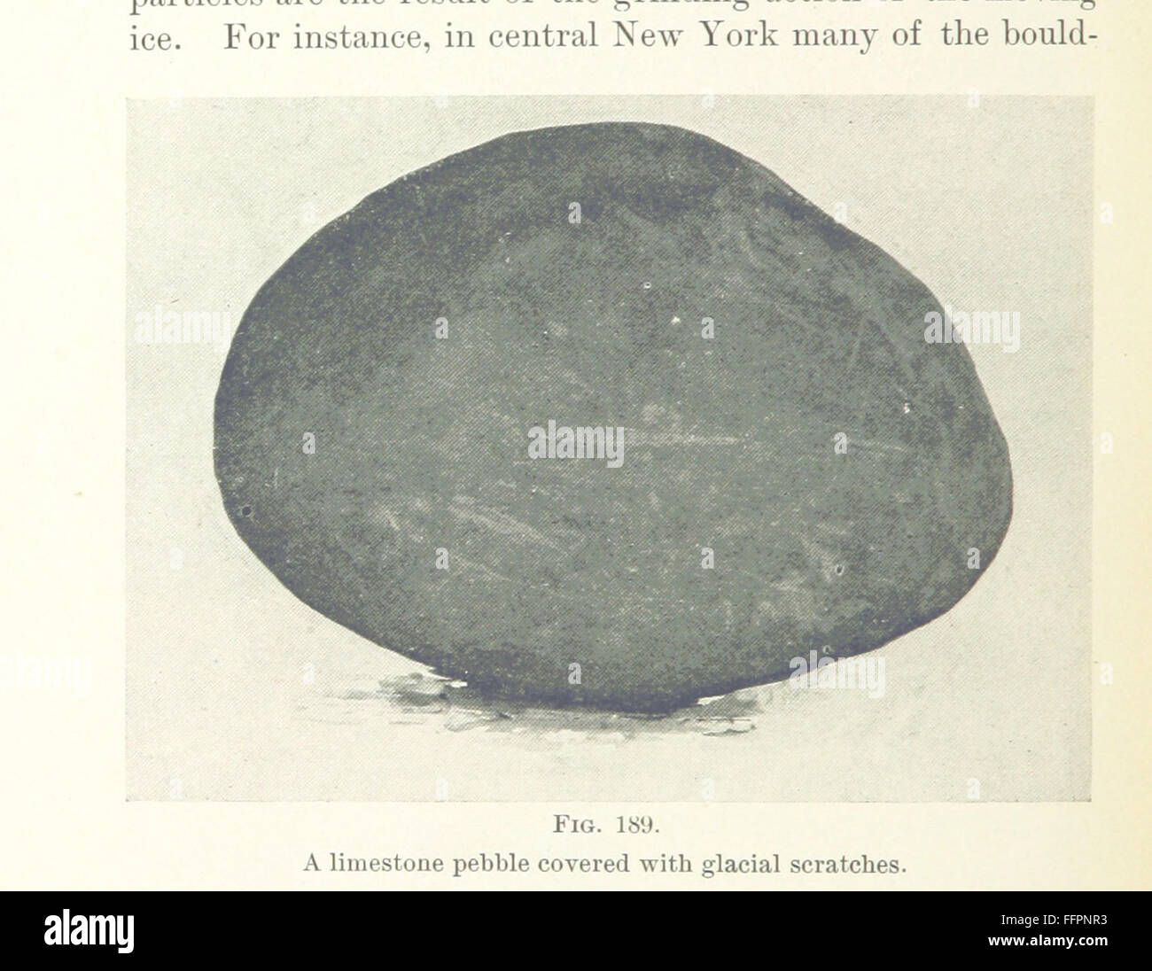 An educational text focused on the basic principles of physical ...