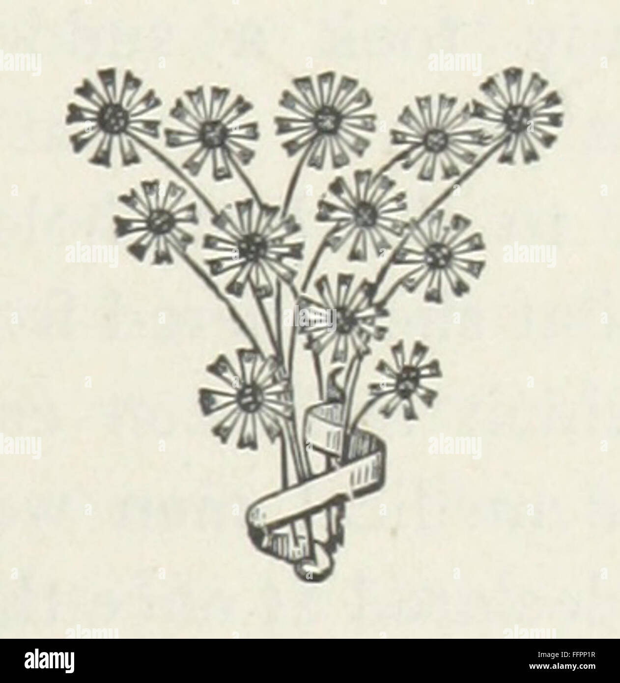 'Barbara Philpot' is a novel that examines the manners and morals of ...