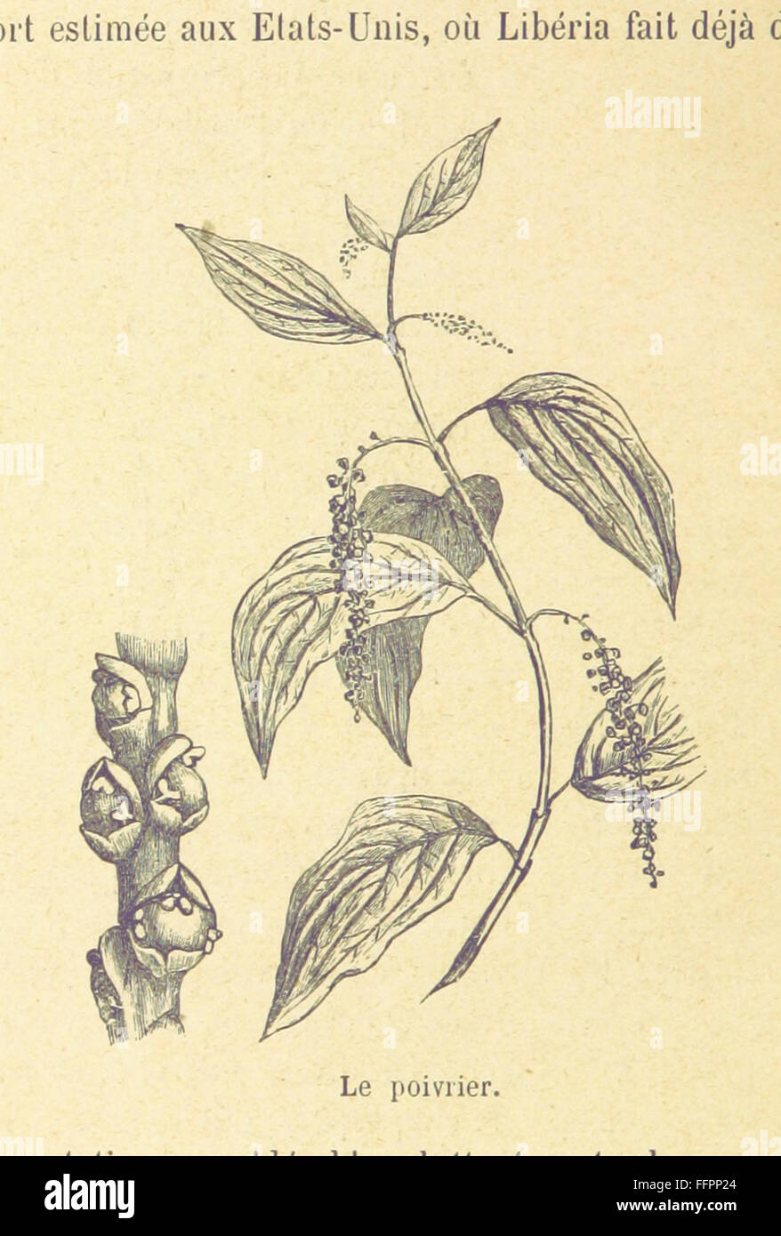 'Le Congo en images, raconté aux enfants' is a French-language book ...