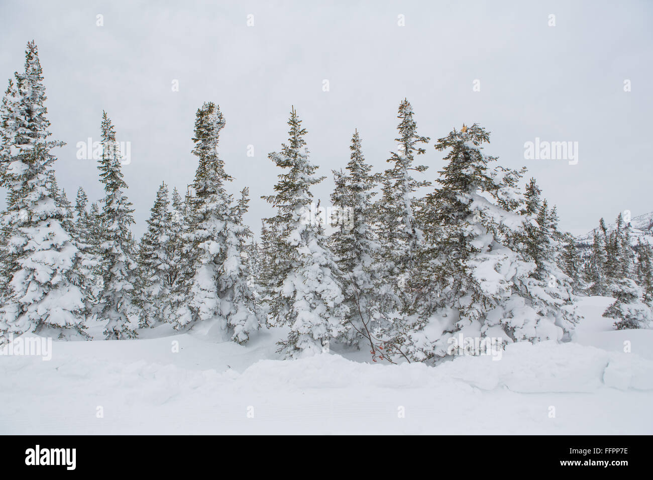 Beautiful winter landscape Stock Photo - Alamy