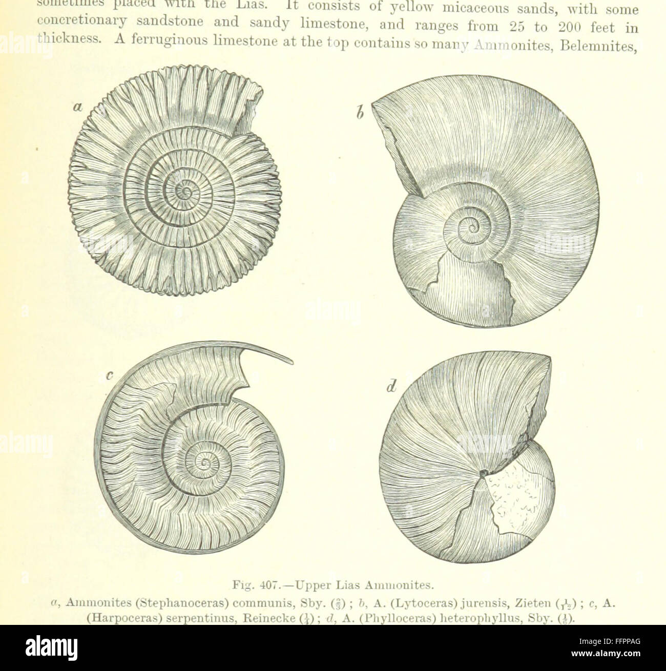 *Text-book of Geology* provides a comprehensive introduction to geology ...