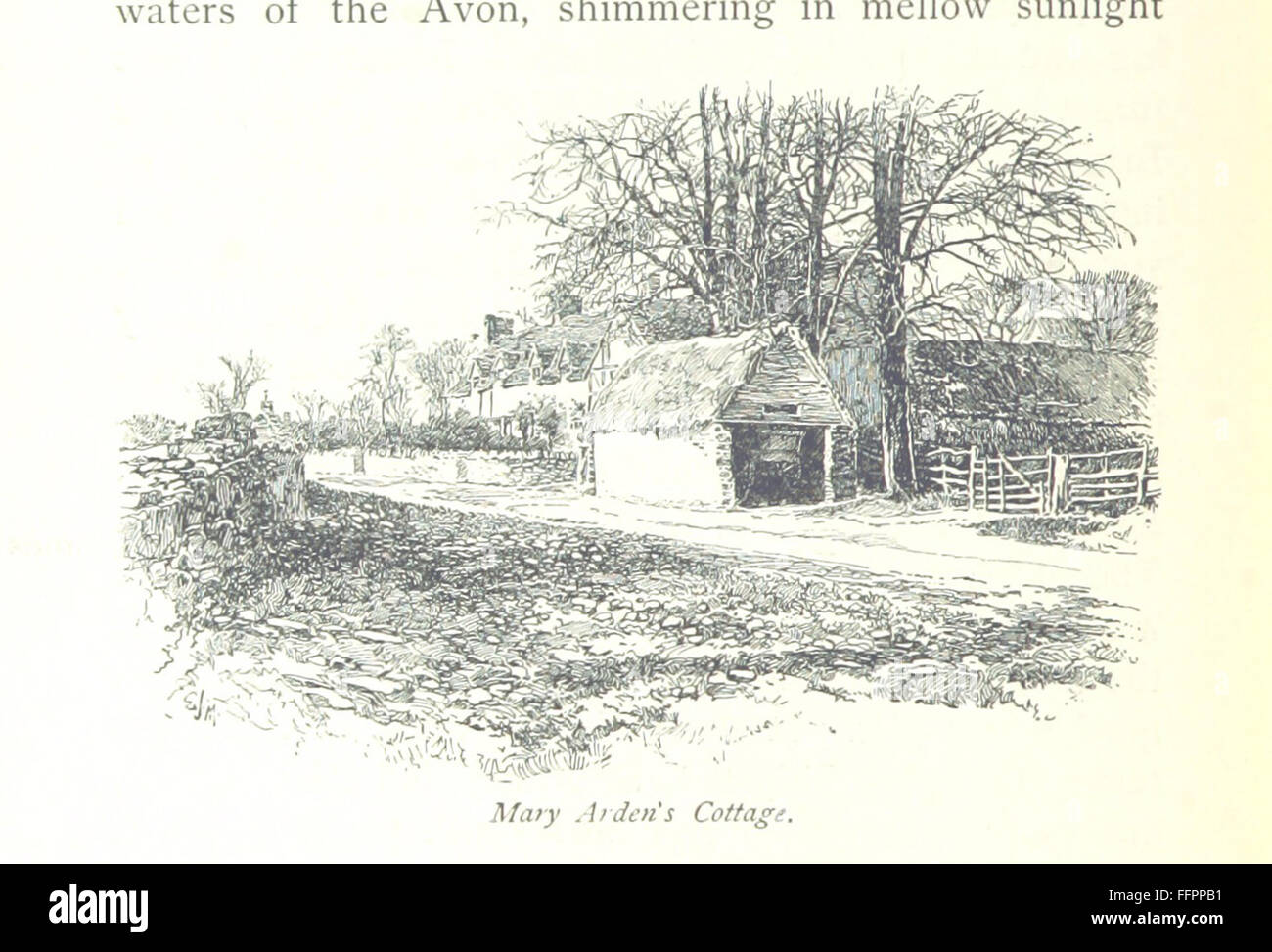 This revised edition of 'Gray Days and Gold' features an updated ...