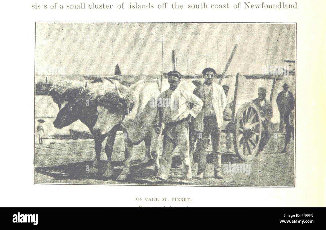 This historical book explores the history of Newfoundland through ...