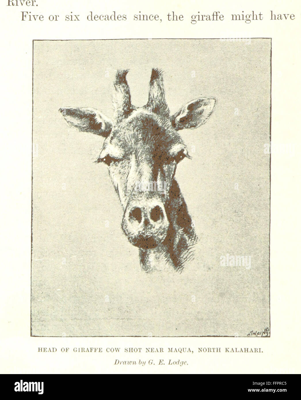 Illustrated map southern africa hi-res stock photography and images - Alamy