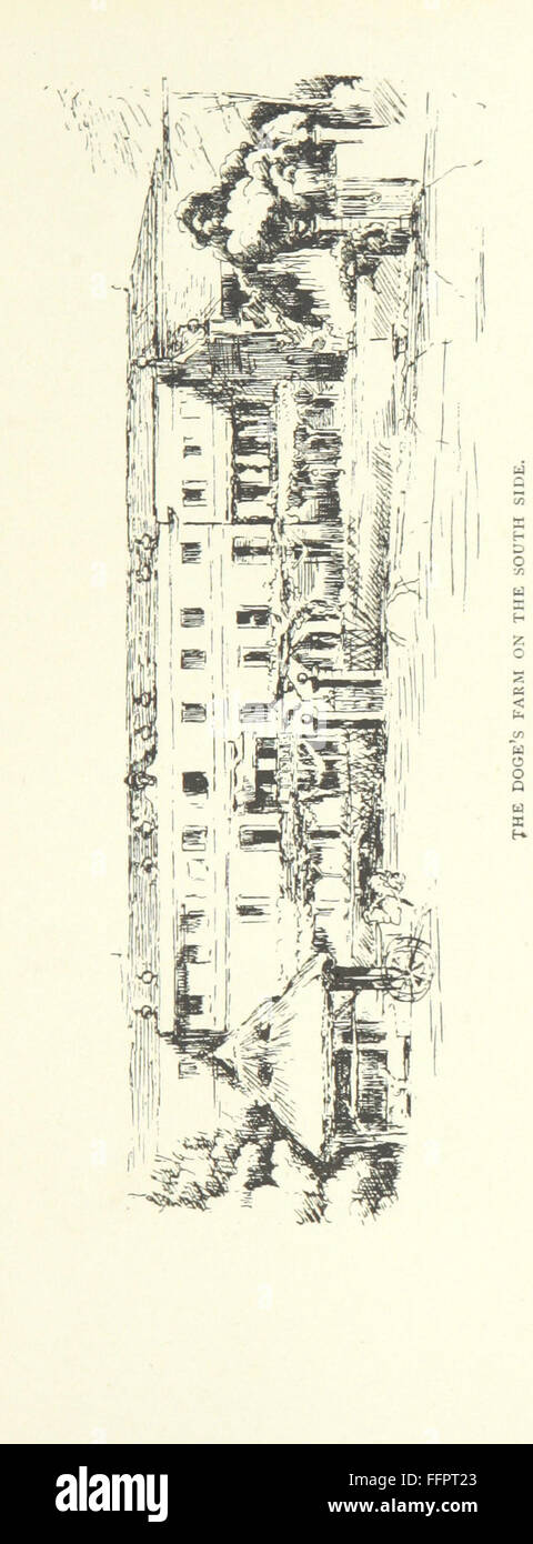 'Days spent on a Doge's Farm' provides a reflective journey into the ...