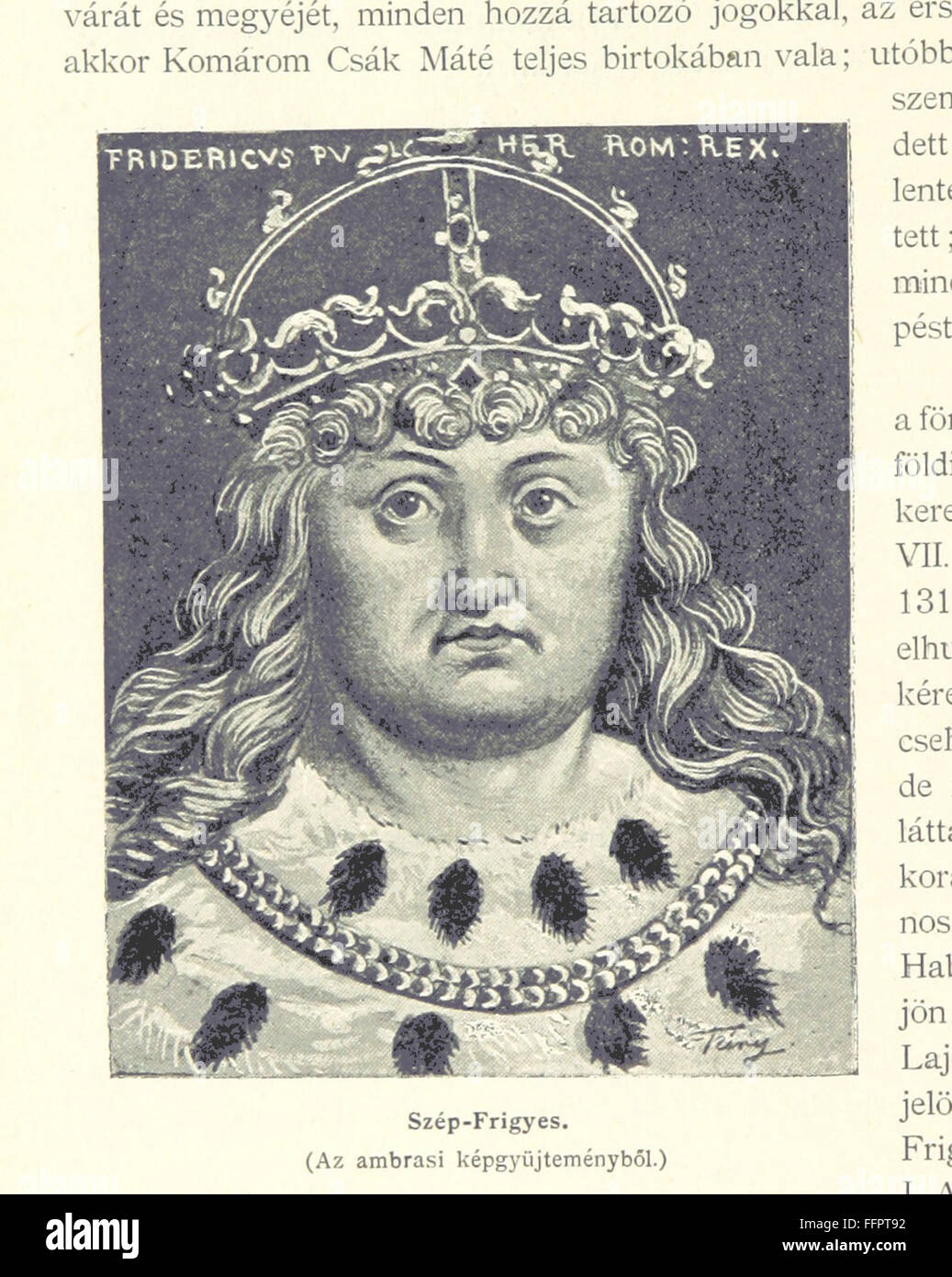 This Hungarian-language historical work, edited by Szilágyi S ...