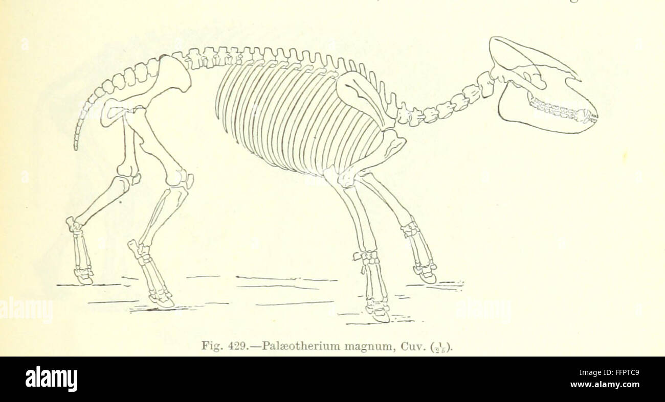 *Text-book of Geology* is a comprehensive guide to geological science ...