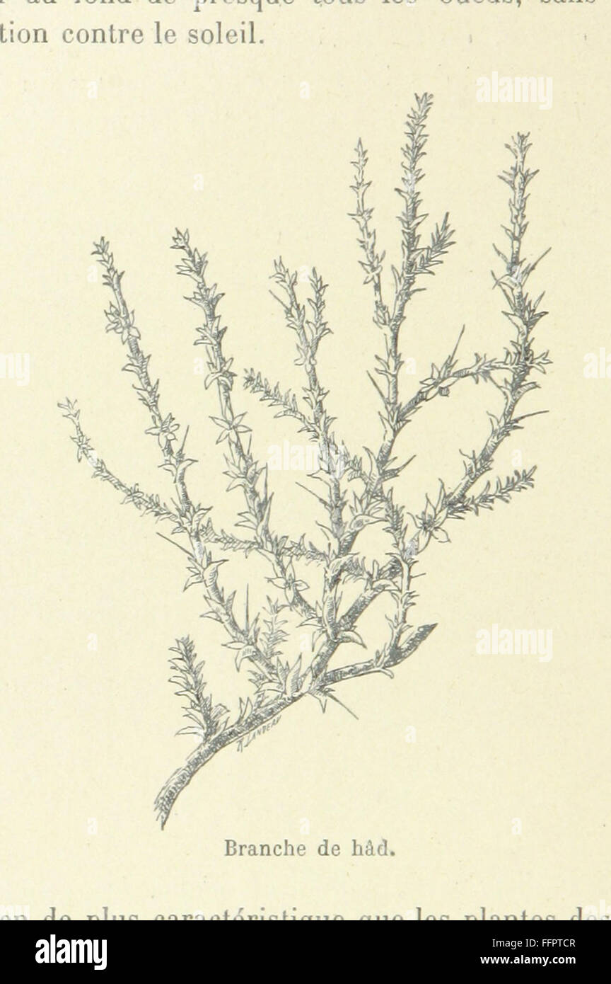 'Le Sahara' is a vintage book that explores the Sahara Desert, its vast ...