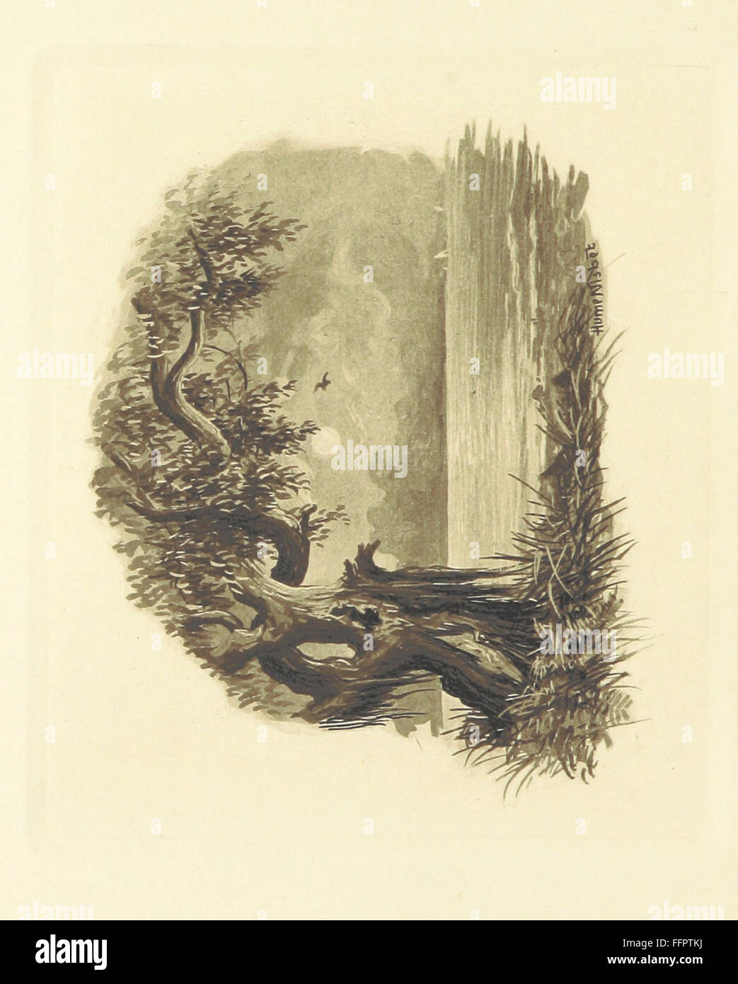 'The Withered Jester' is a collection of verses exploring themes of ...