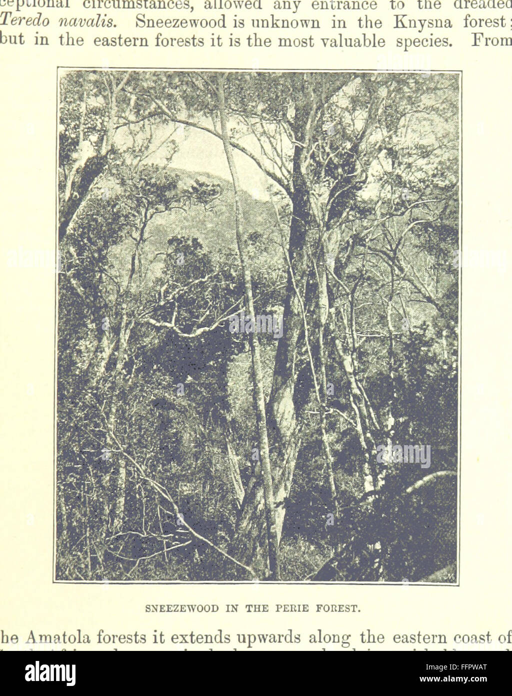 This illustrated handbook offers a detailed overview of the Cape Colony ...