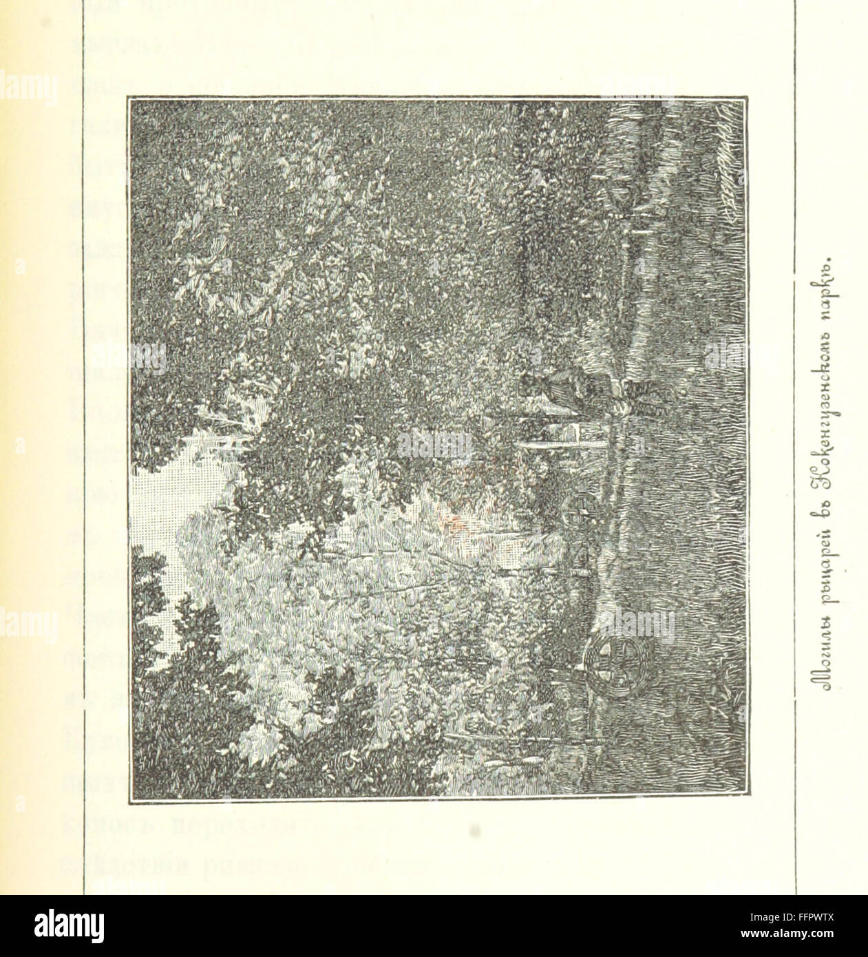 This Title Appears To Be In An Unknown Or Encoded Language Further Clarification Is Needed For