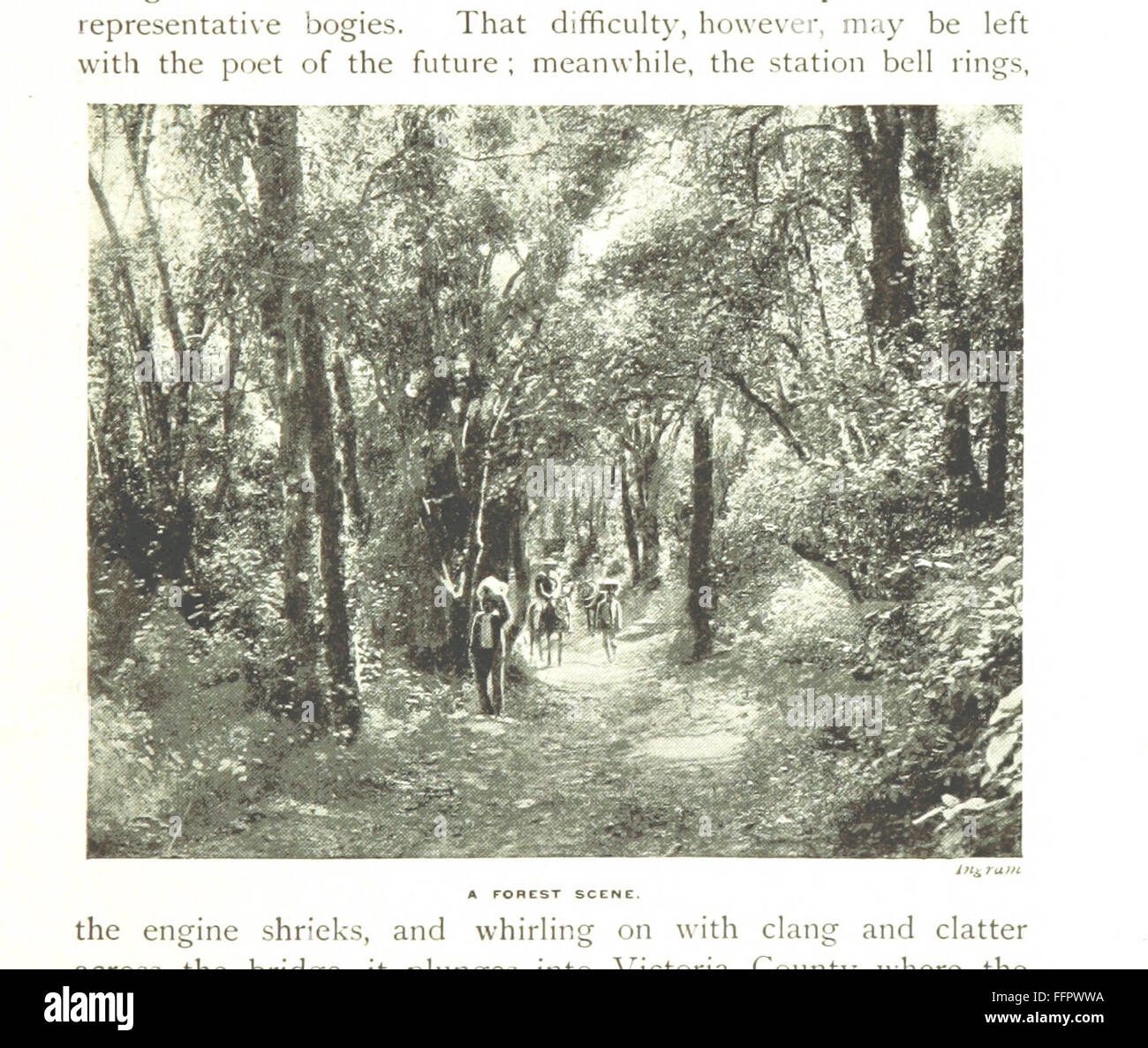 This official handbook of Natal Colony includes detailed information ...