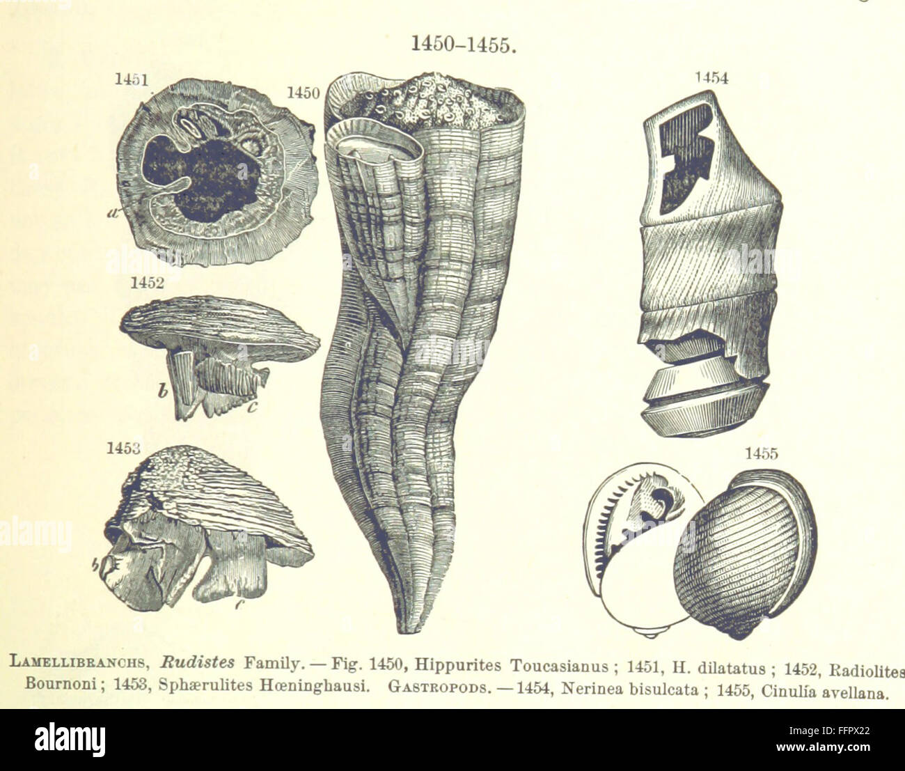 This manual provides an overview of geological principles, with a focus ...