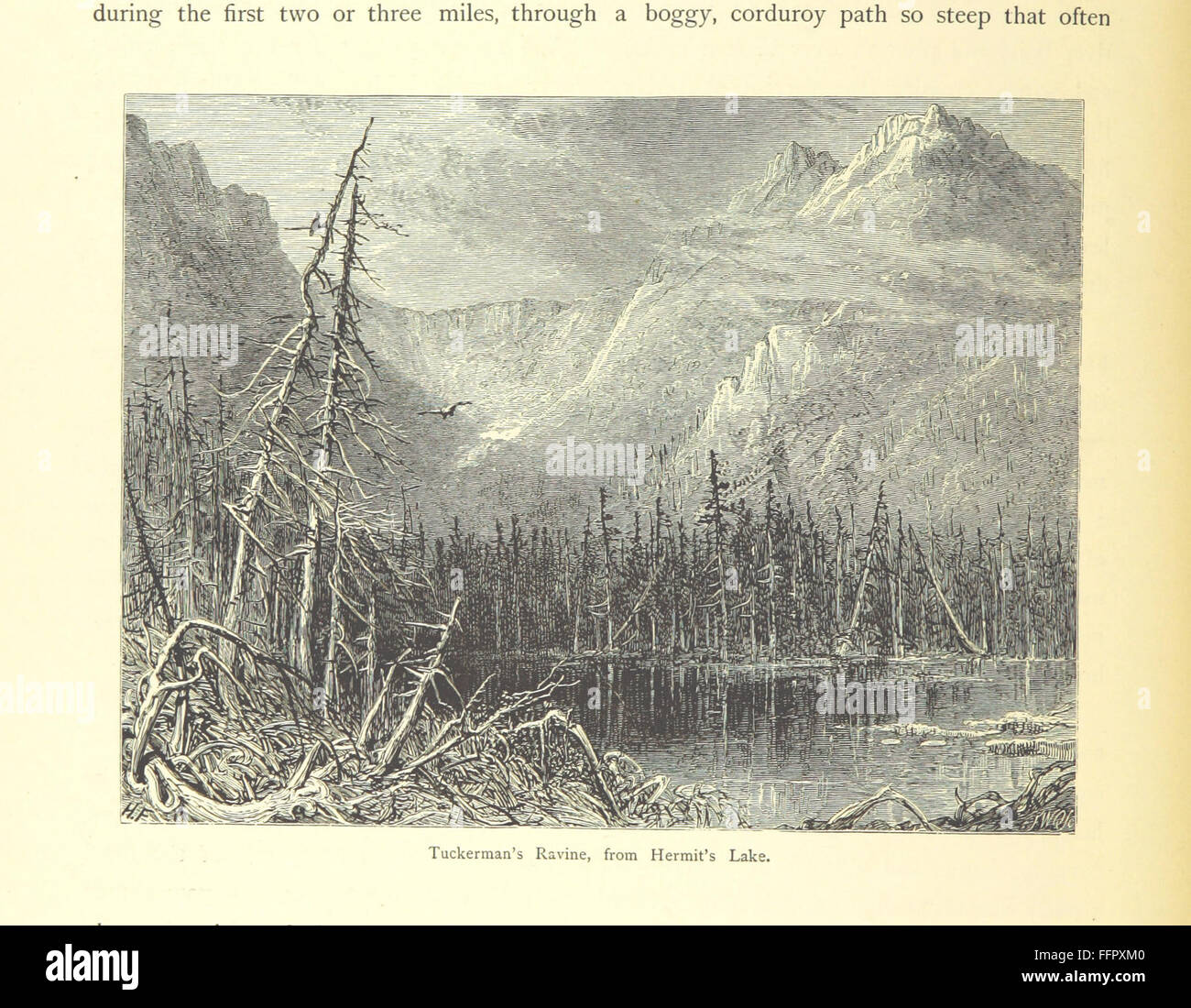 'Picturesque America' offers a visual and literary exploration of the ...