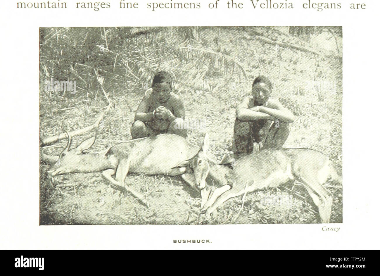 'The Colony of Natal' is an official illustrated handbook and railway ...