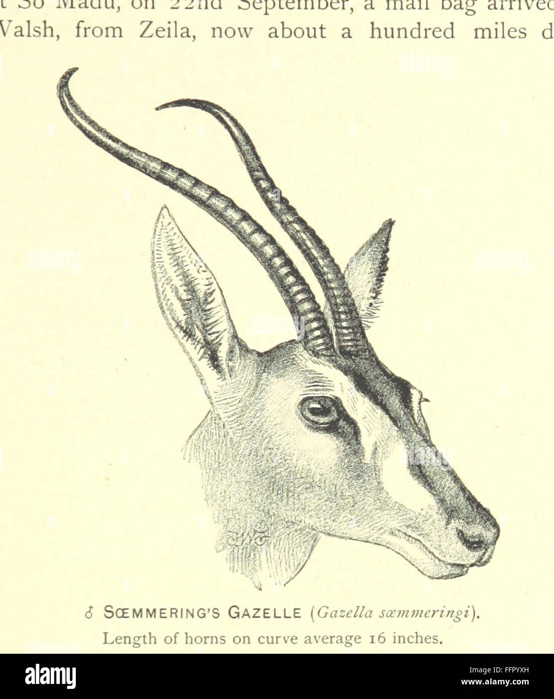 This vintage book, 'Seventeen Trips through Somaliland,' documents the ...