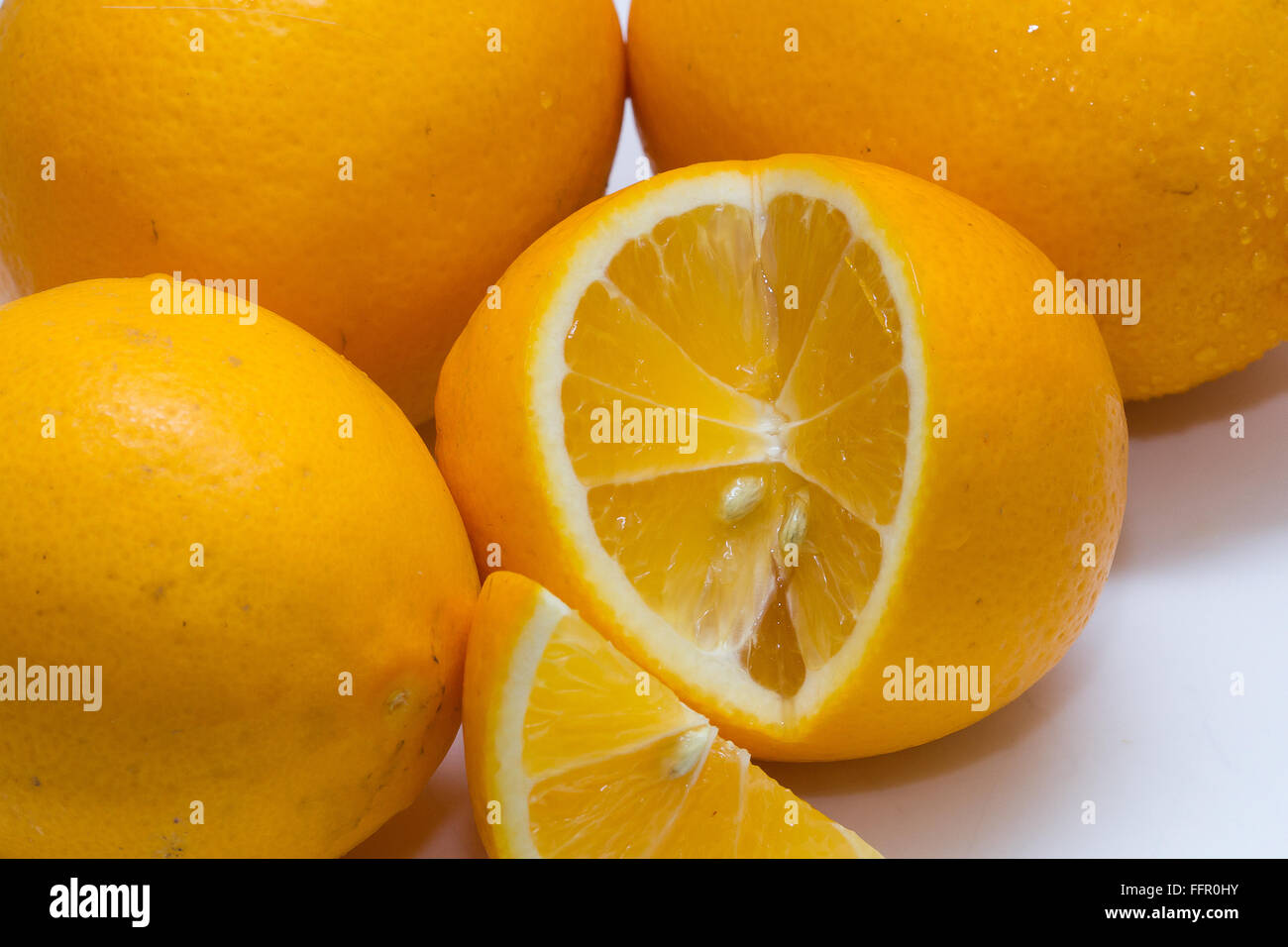 Meyer Lemons displayed on a white background. Meyer Lemons are thought ...
