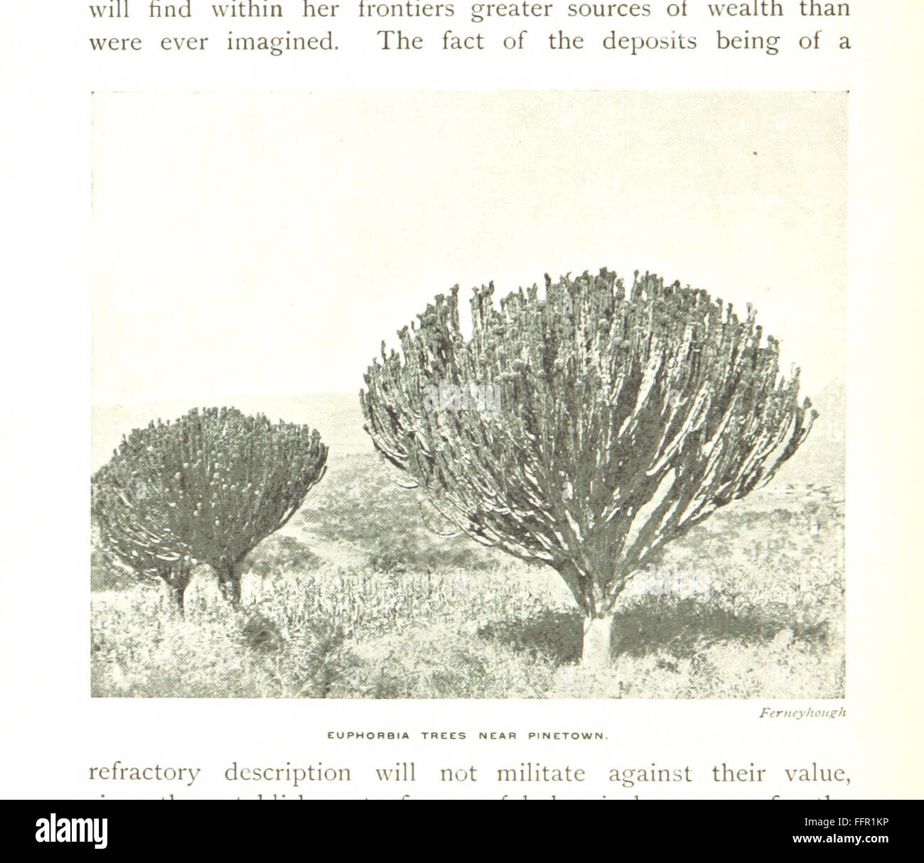 Map of the colony of natal hi-res stock photography and images - Alamy